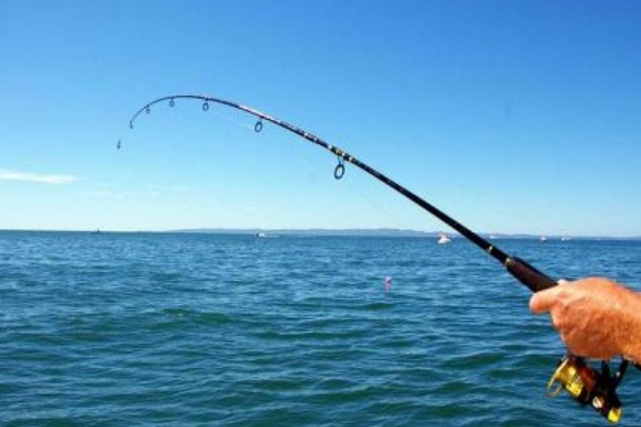 Κύπρος: «Βροχή» οι καταγγελίες - Ψάρευαν παράνομα , 24Sports & News